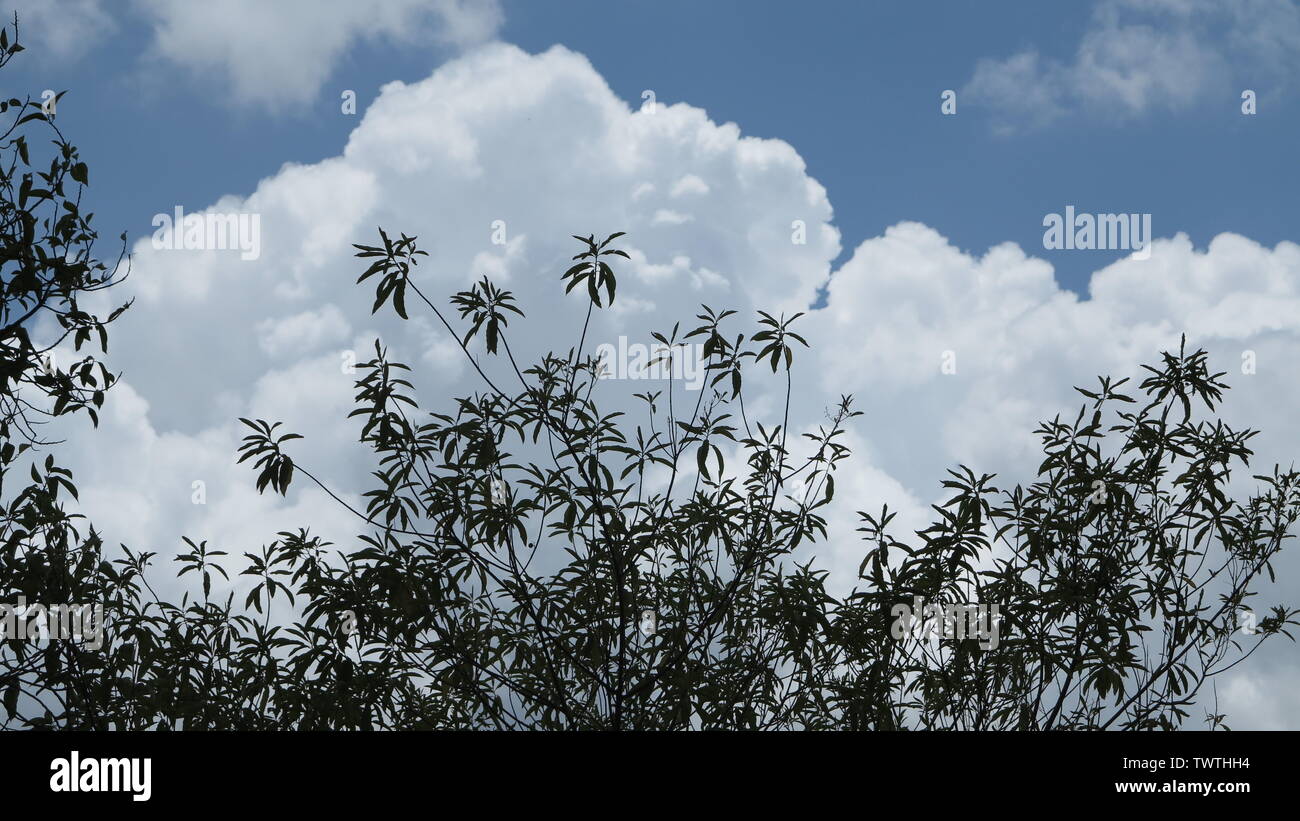 Swami vivekananda sculpture hi-res stock photography and images - Alamy