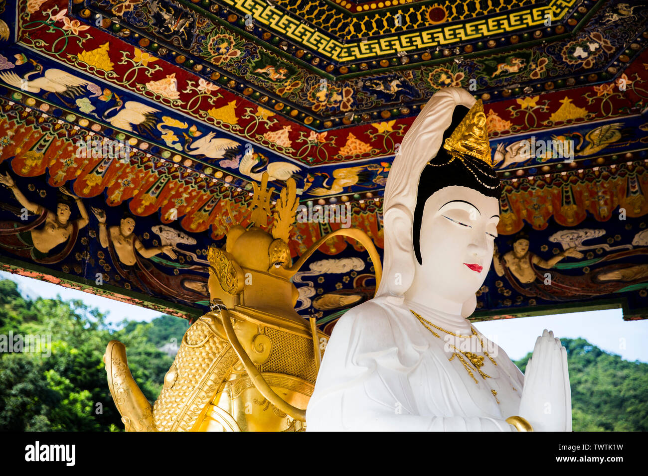Buddha statue at Ten Thousand Buddhas temple. Hong Kong Stock Photo - Alamy
