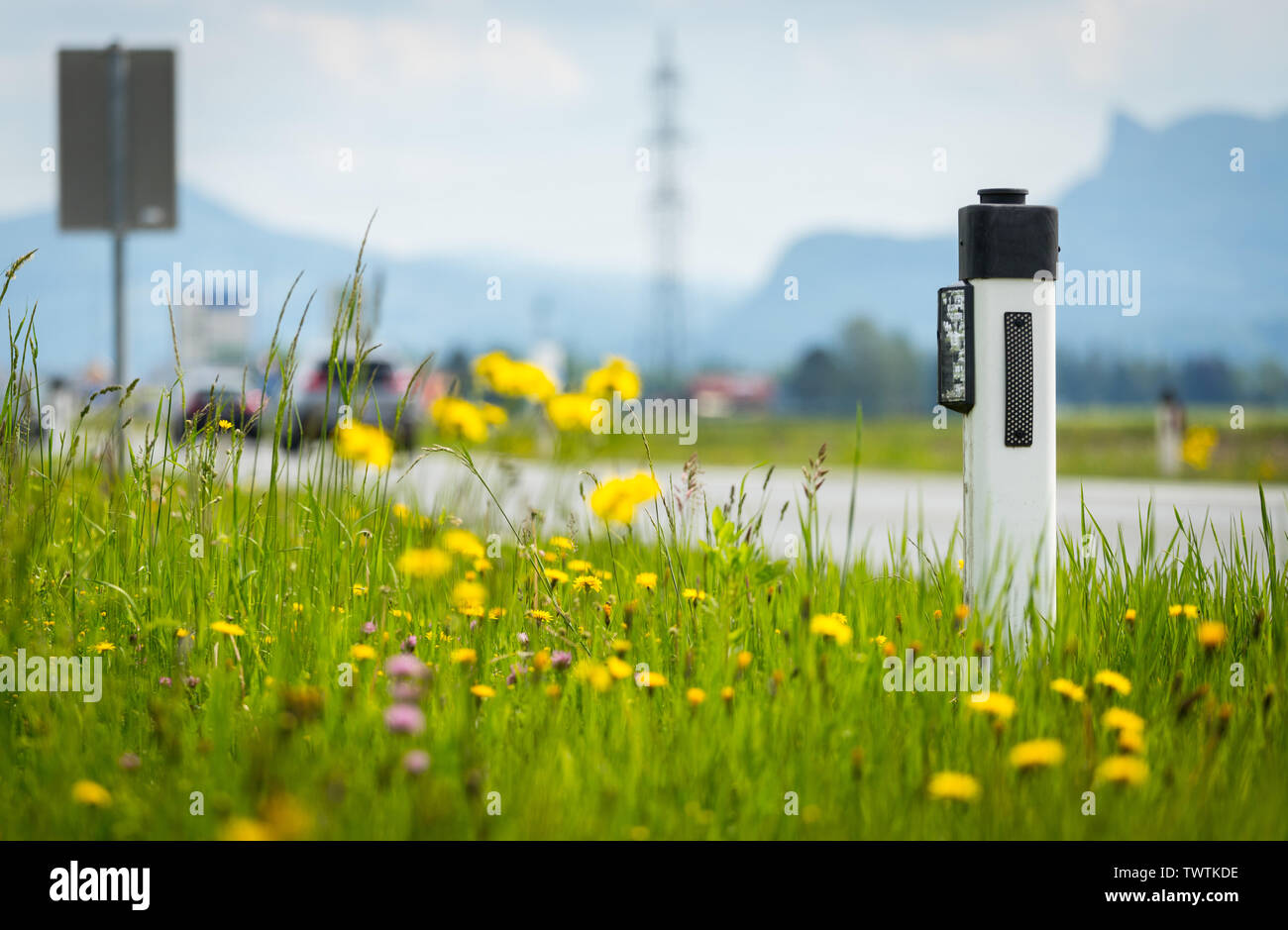 Reflector post at an idyllic asphalted road in summer, flowers and ...