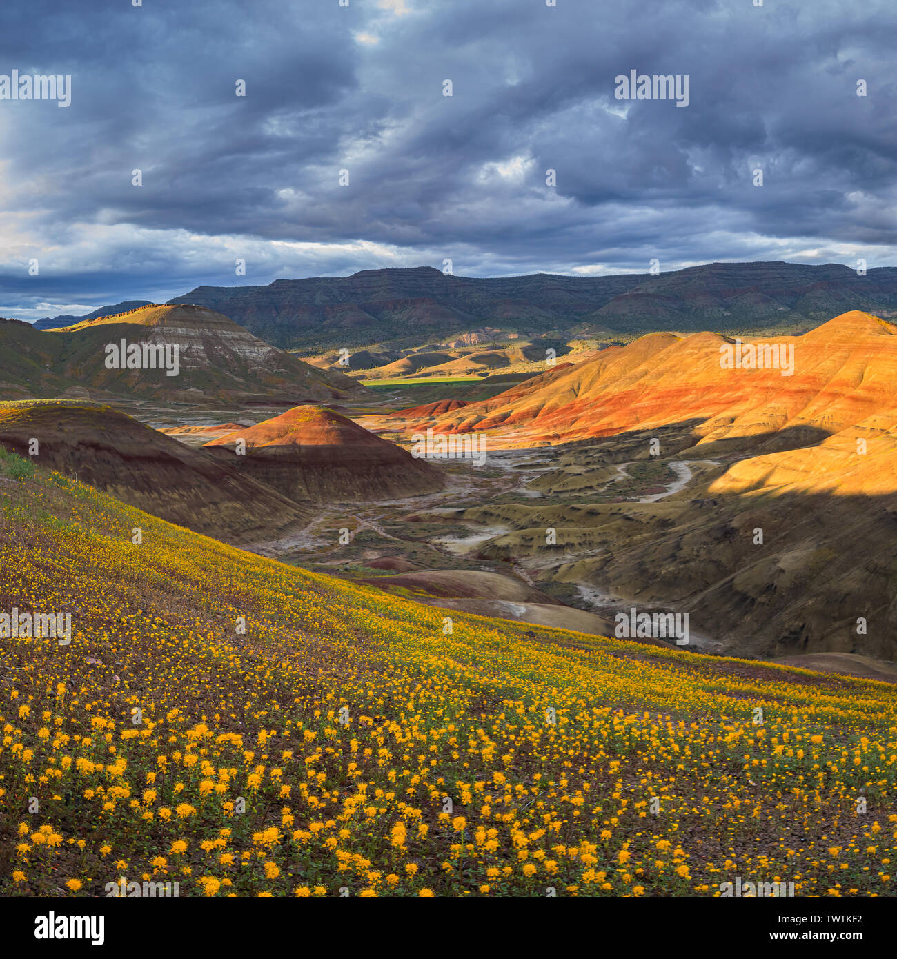 John Day Fossil Beds National Monument is a U.S. National Monument in ...