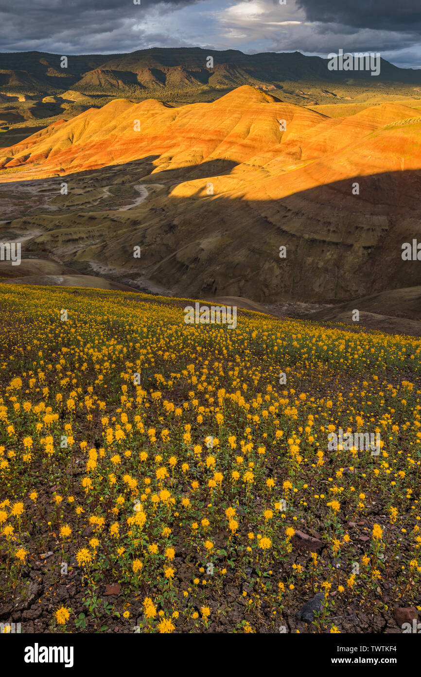 John Day Fossil Beds National Monument is a U.S. National Monument in ...
