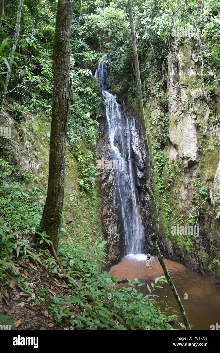 Chanchamayo peru hi-res stock photography and images - Alamy