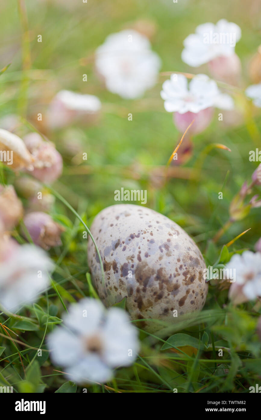 Intact environment hi-res stock photography and images - Alamy