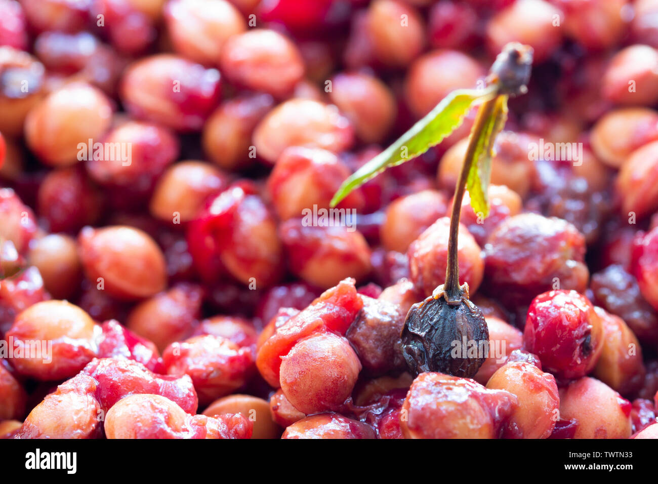 background of a heap of sour cherry pits Stock Photo - Alamy