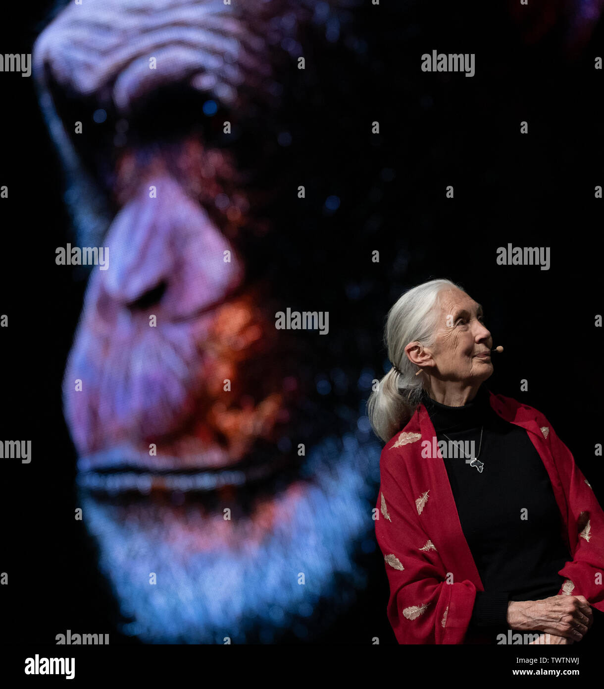 Munich, Germany. 21st June, 2019. The British behavioural scientist ...