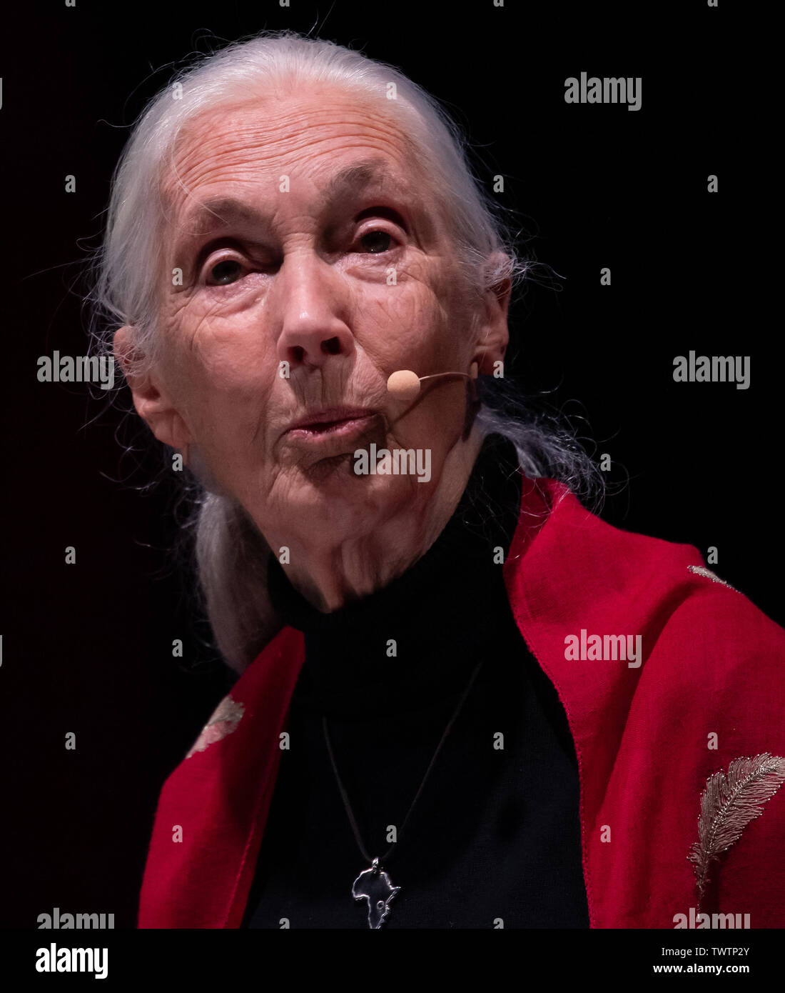 Primate scientist hi-res stock photography and images - Alamy