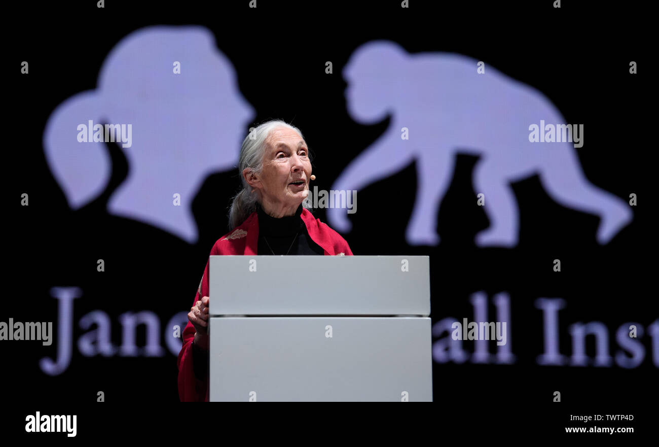 Munich, Germany. 21st June, 2019. The British behavioural scientist ...