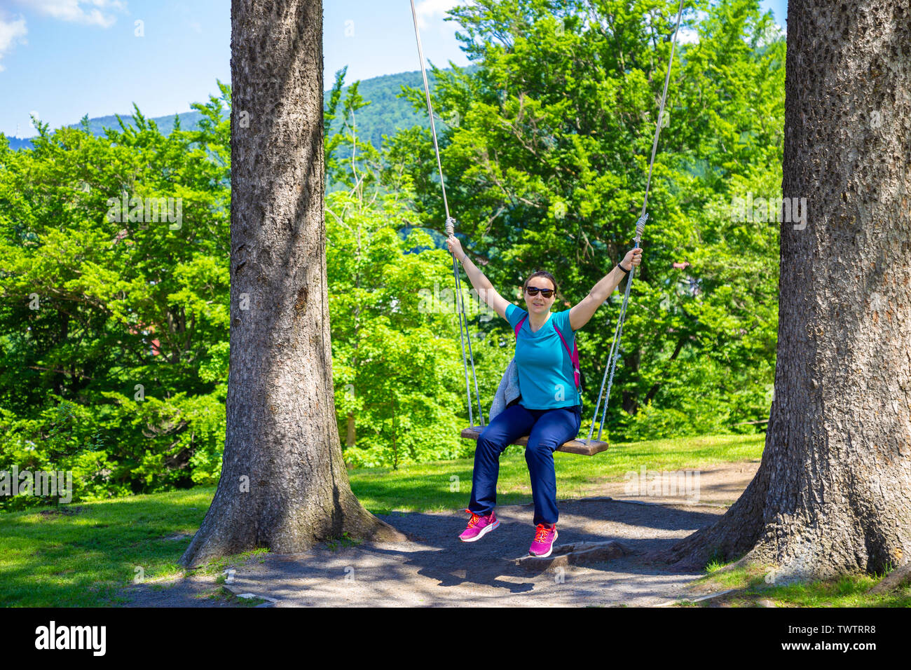 Free standing trees hi-res stock photography and images - Alamy
