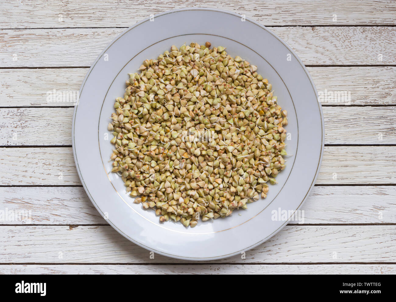 Sprouted buckwheat in white plate on white wooden table. Top view ...