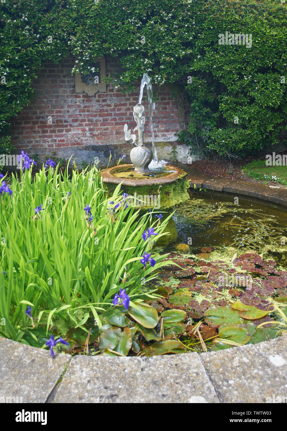 Water feature and pond with fountain Stock Photo - Alamy
