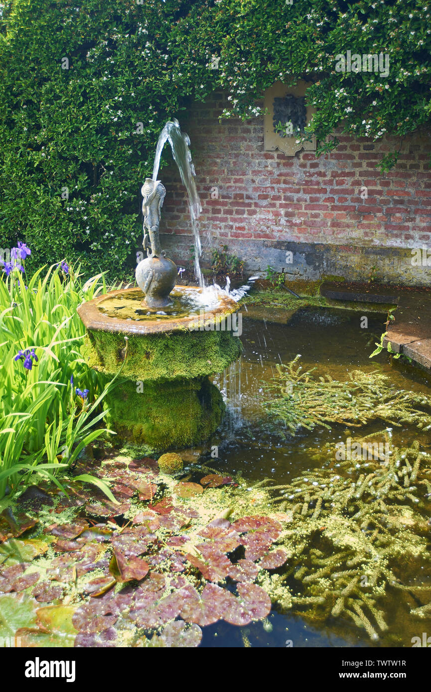 Water feature and pond with fountain Stock Photo - Alamy