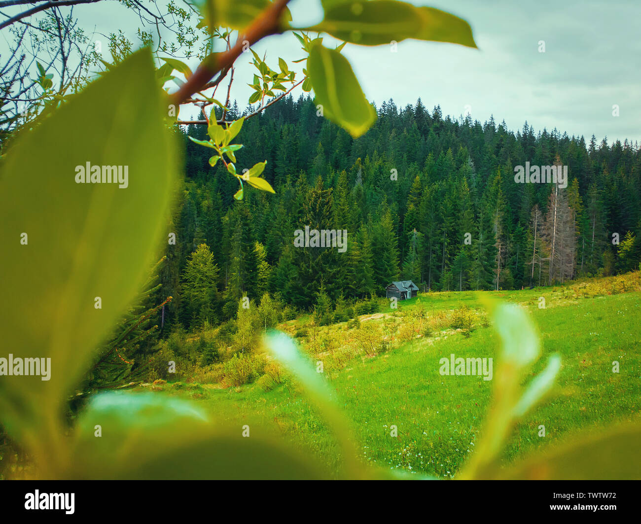 Picturesque spring mountains scene with wooden cabin cottage as seen ...