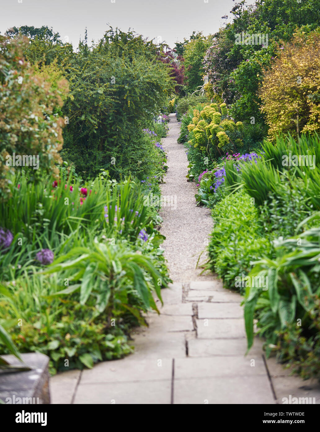 Borders bursting with summer flowering plants looking down a long ...