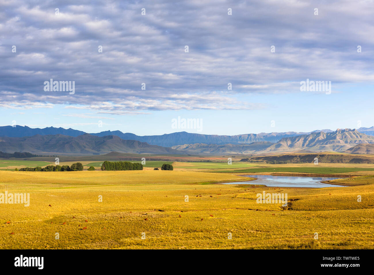 Wide open spaces and mountains Stock Photo - Alamy
