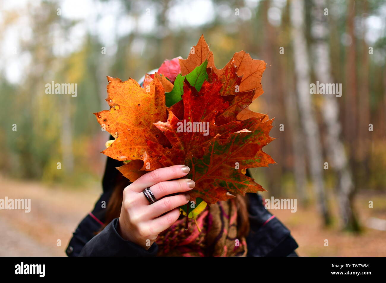 Face of autumn Stock Photo - Alamy