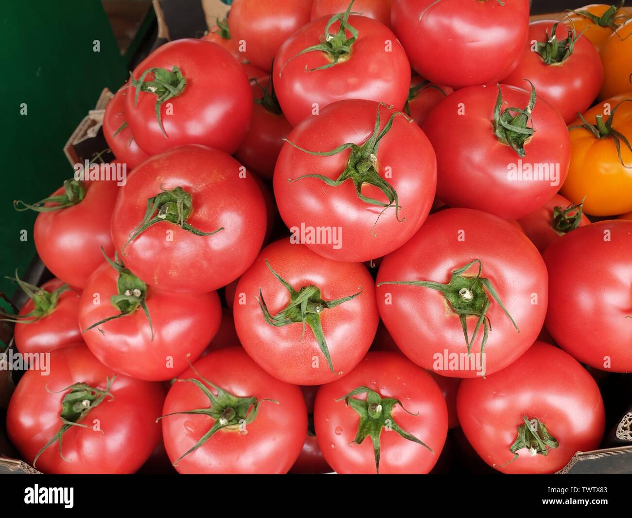 Image of fresh red tomatoes Stock Photo - Alamy