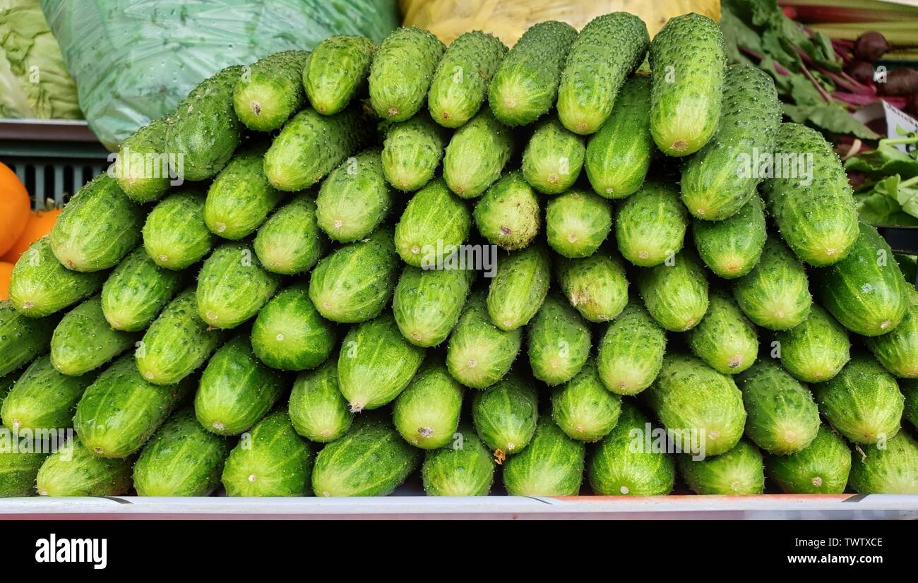 Pile fresh green mini cucumber hi-res stock photography and images - Alamy
