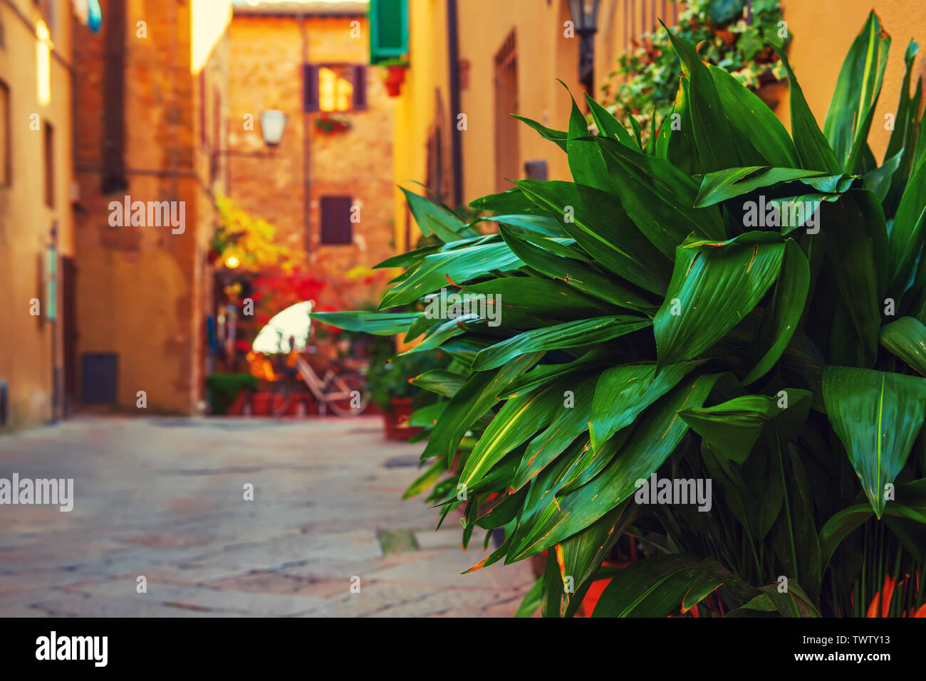 Street of Pienza Stock Photo - Alamy