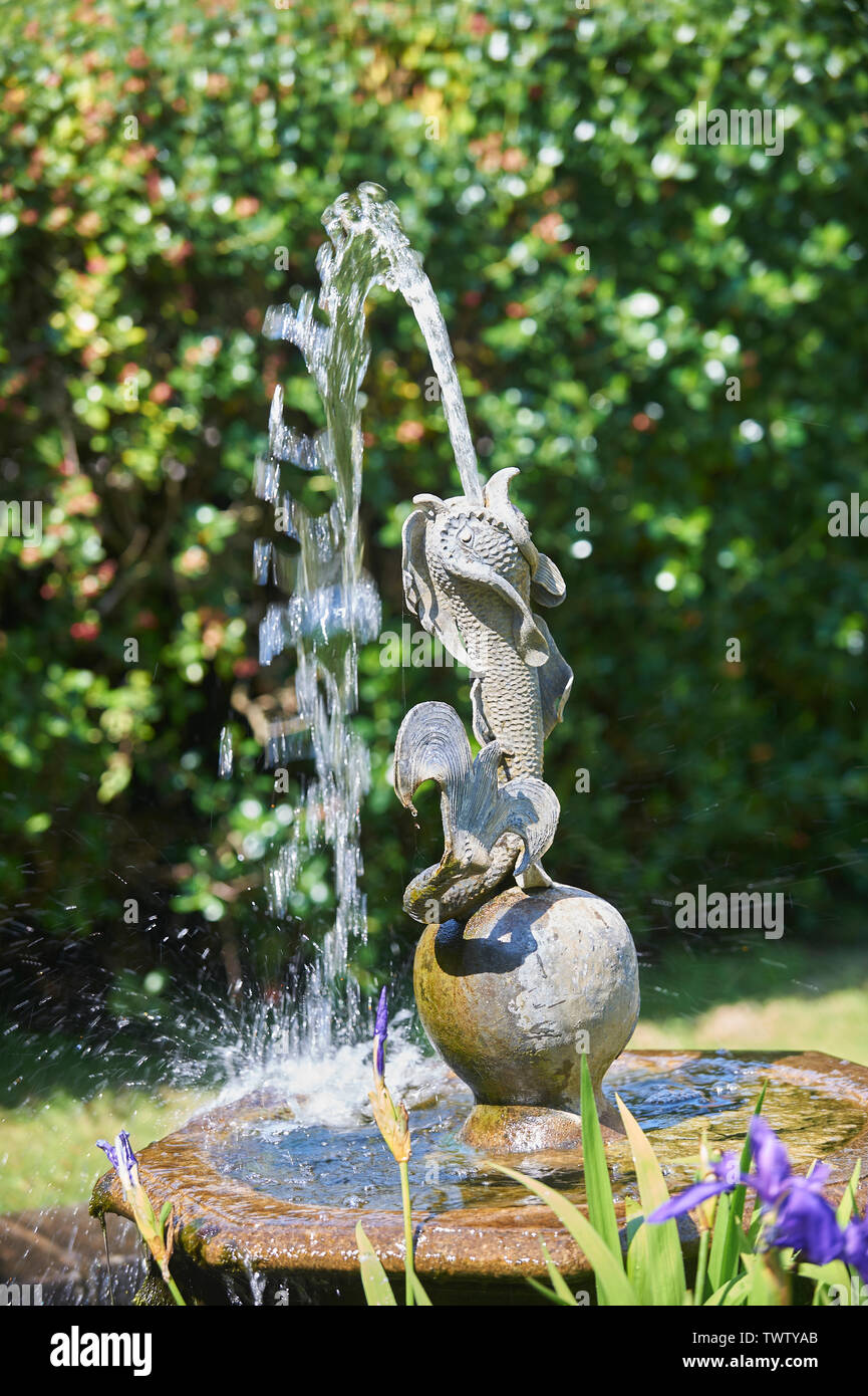 Water feature and pond with fountain Stock Photo - Alamy