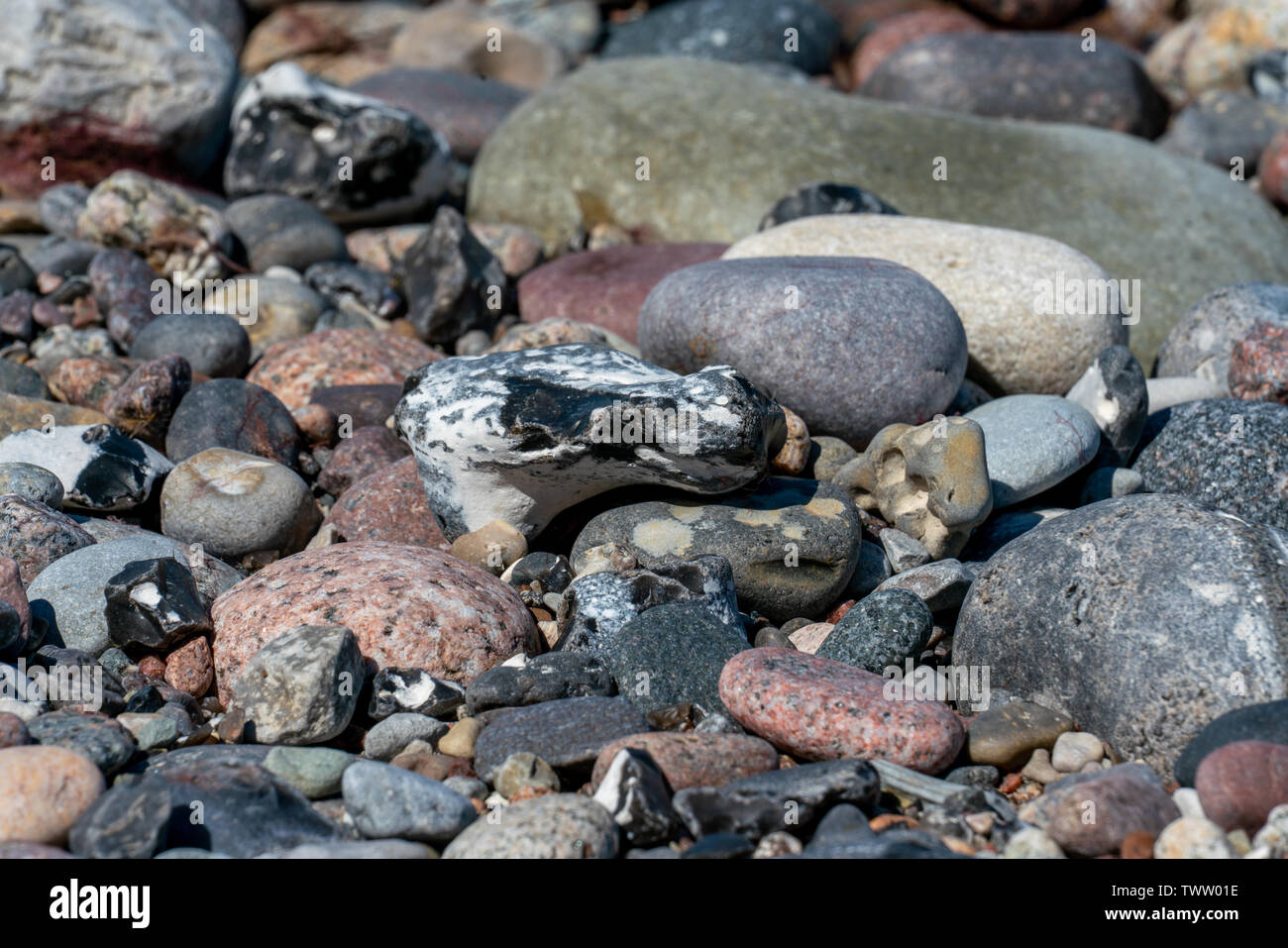 Multi coloured pebbles on a beach in bright sunshine Stock Photo - Alamy