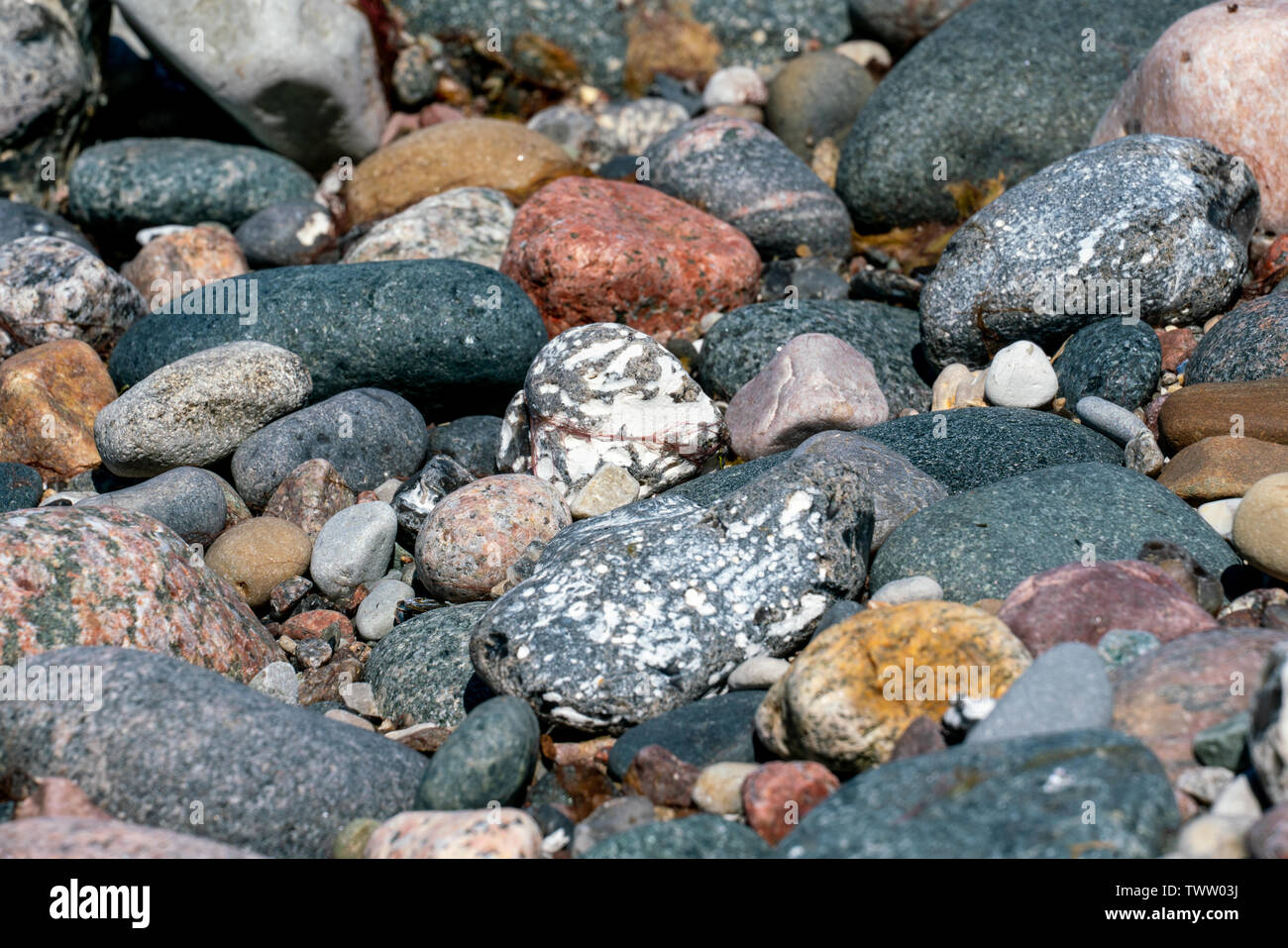 Light grey beach pebbles hi-res stock photography and images - Alamy