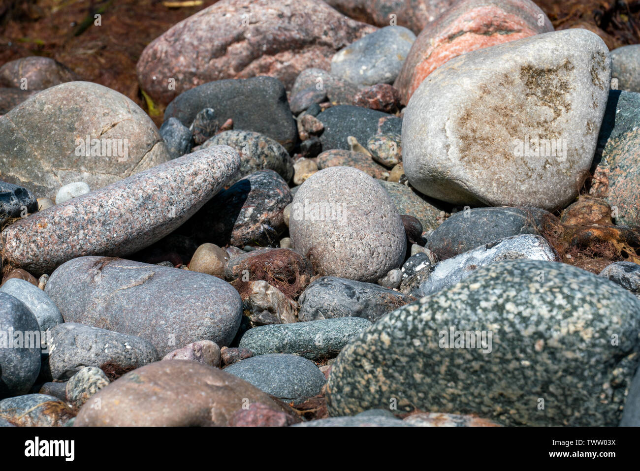 Multi coloured pebbles on a beach in bright sunshine Stock Photo - Alamy