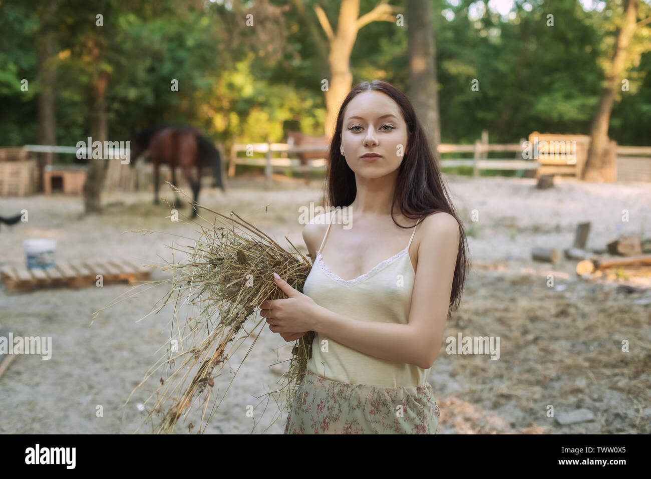 Cattle Ranch Woman Horse High Resolution Stock Photography and Images ...