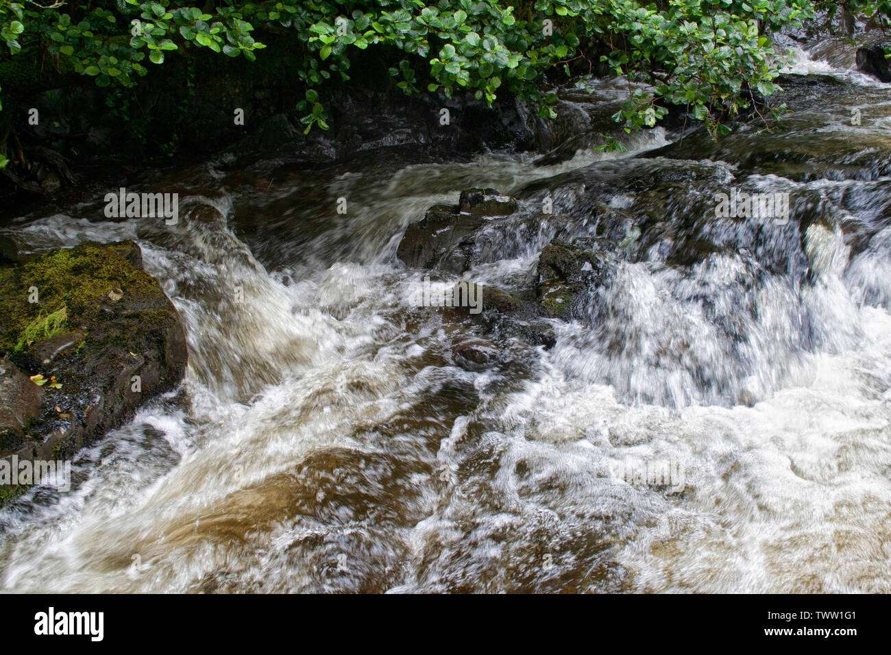 Mennock river hi-res stock photography and images - Alamy