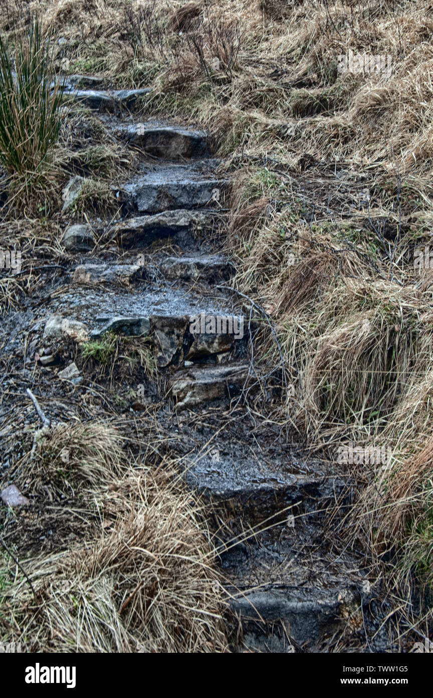 Hillside steps hi-res stock photography and images - Alamy