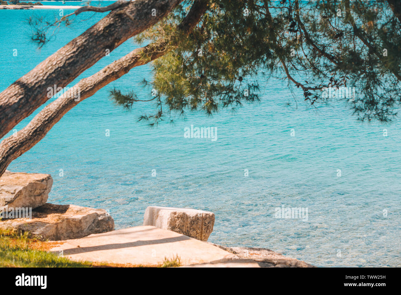 view of sea beach with tree that making shadow. summer vacation ...