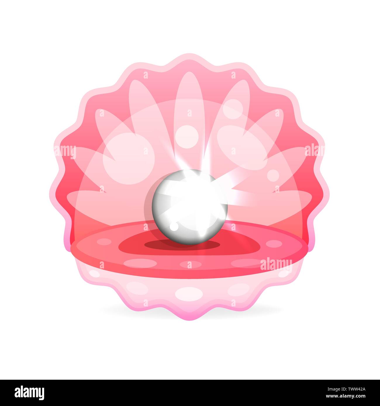 Finest Quality Beautiful Natural Open Pearl Shell Close Up Realistic ...