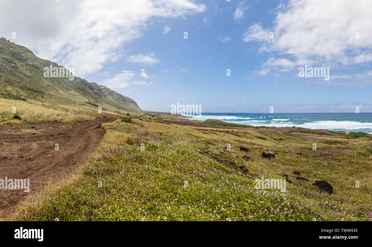Scenic view of Kaena Point State Park, a beautiful hiking trail with ...