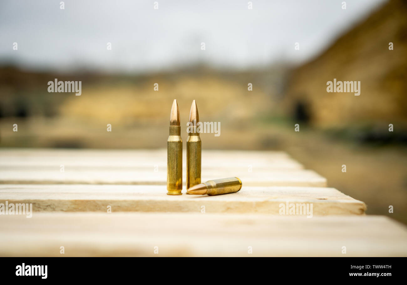 308 caliber hi-res stock photography and images - Alamy
