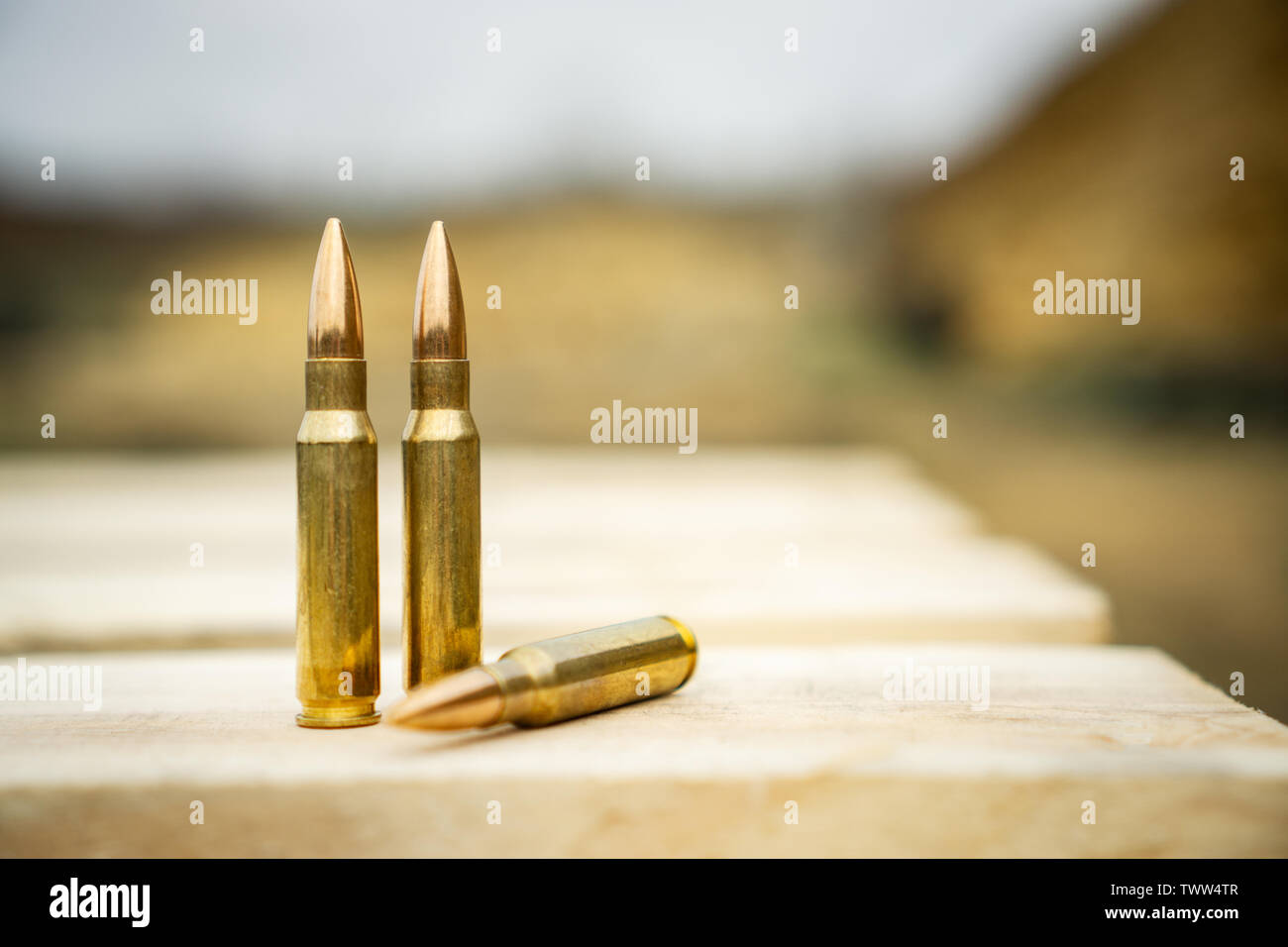 308 caliber hi-res stock photography and images - Alamy