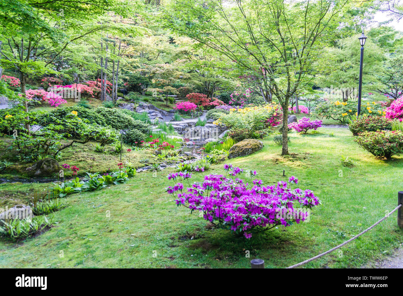 Many flowers are blooming in this Seattle garden in spring Stock Photo ...