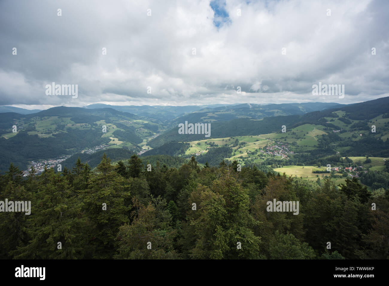 Image from black forest hi-res stock photography and images - Alamy