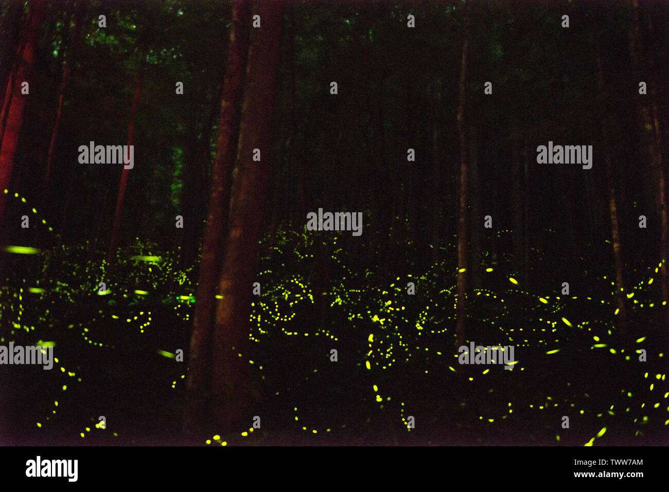 Fly by fire hi-res stock photography and images - Alamy