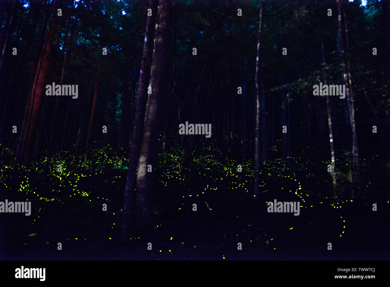 Fly by fire hi-res stock photography and images - Alamy