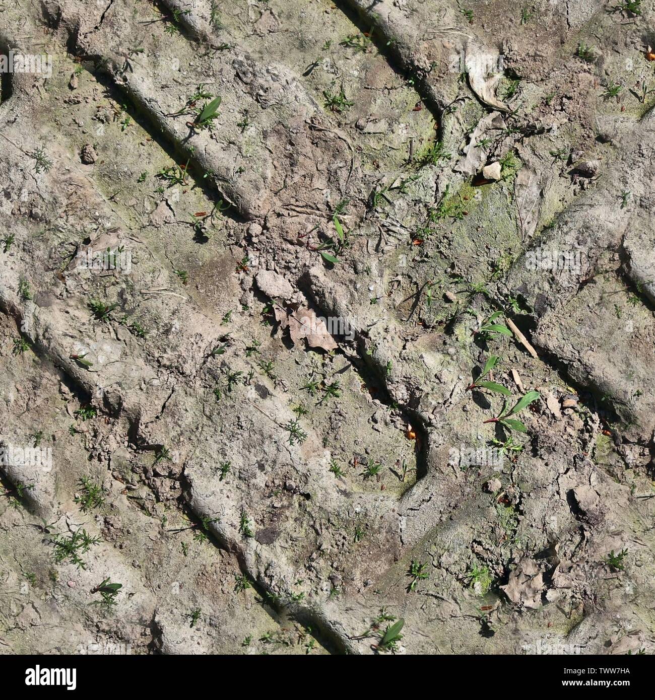 Very detailed seamless texture pattern of acre ground and dirt iin high ...