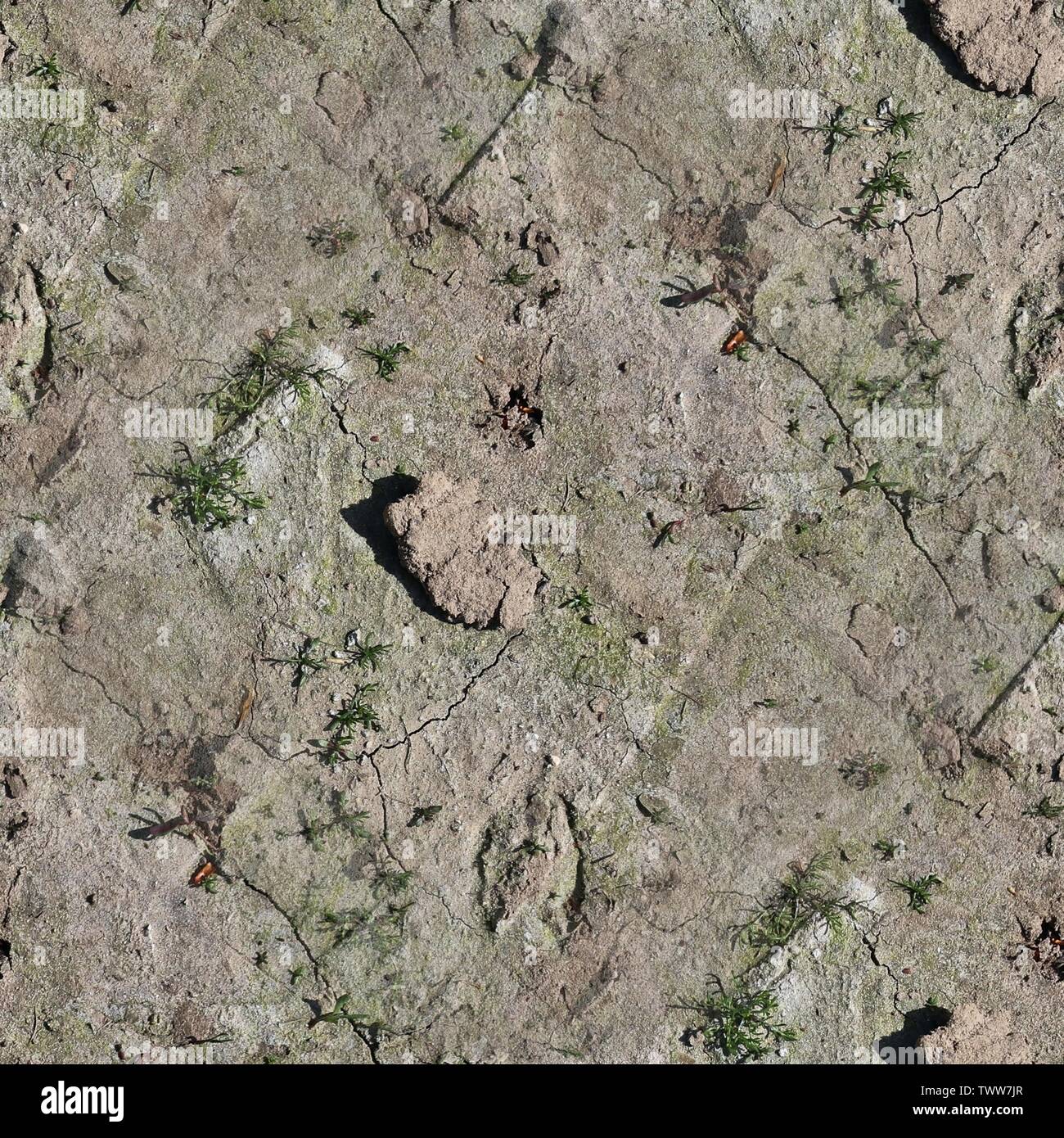 Very detailed seamless texture pattern of acre ground and dirt iin high ...