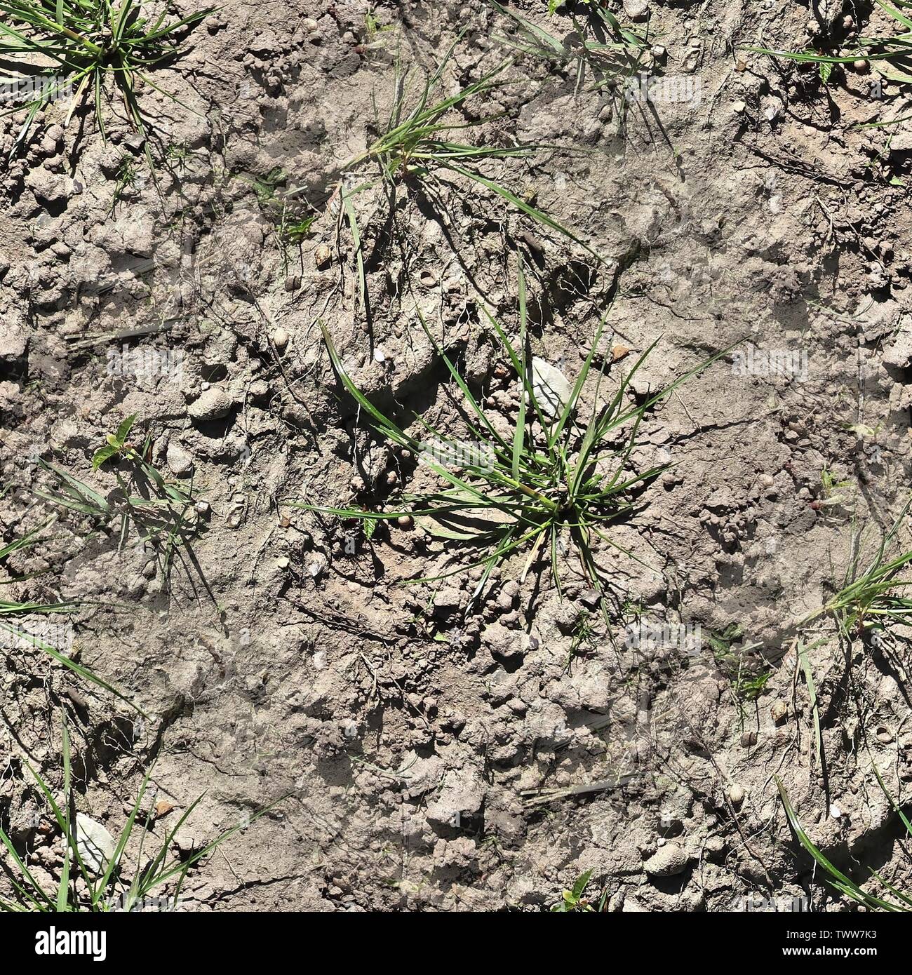 Very detailed seamless texture pattern of acre ground and dirt iin high ...