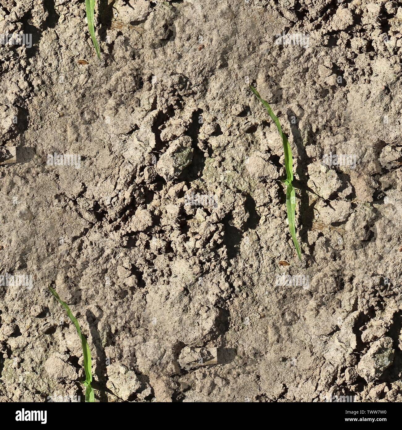 Very detailed seamless texture pattern of acre ground and dirt iin high ...