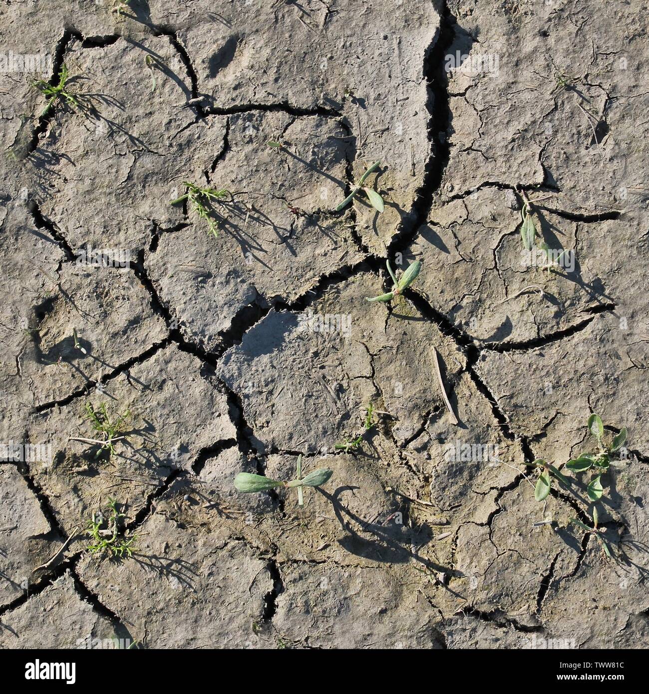 Very detailed seamless texture pattern of acre ground and dirt iin high ...