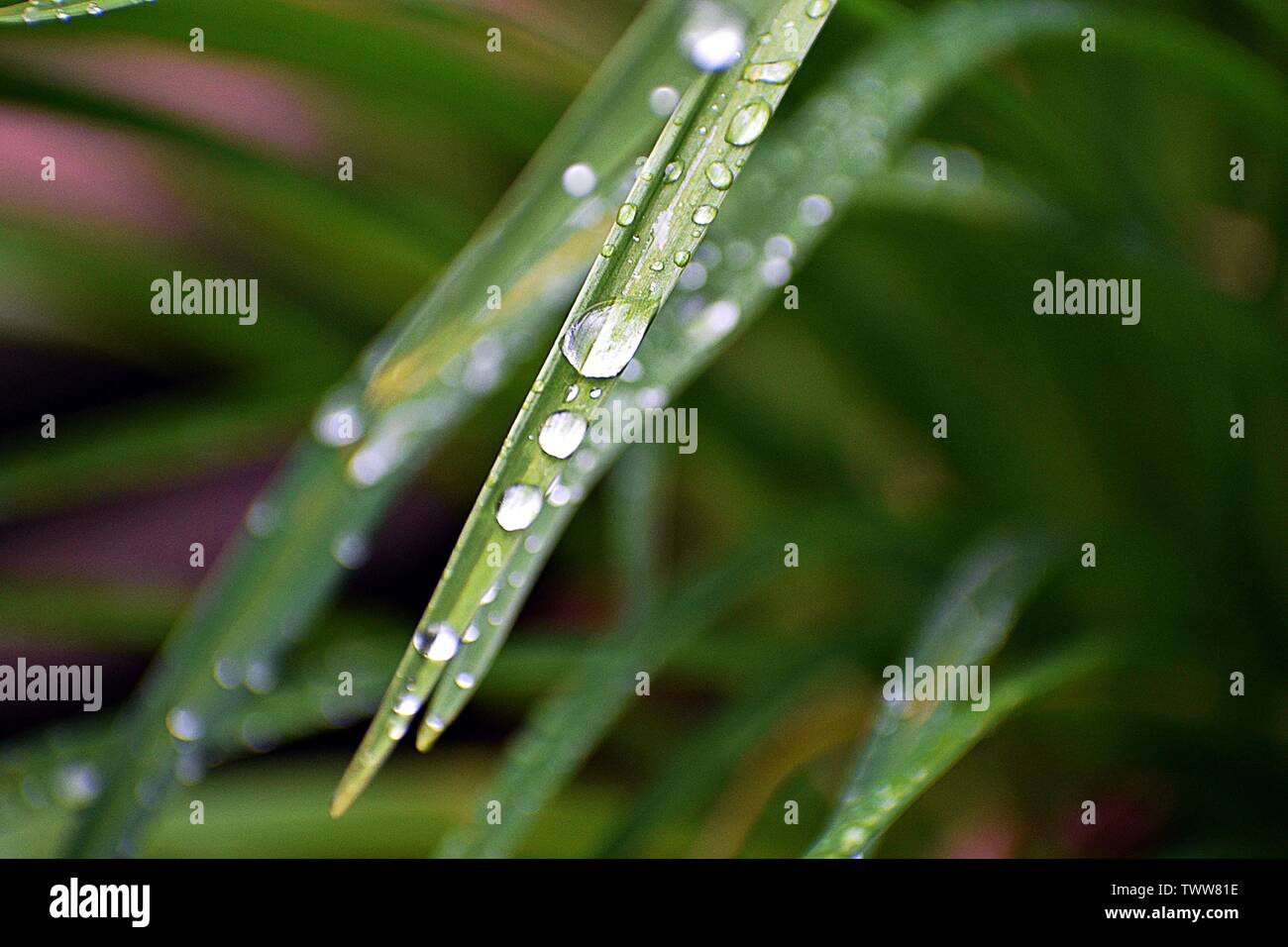 Time rain High Resolution Stock Photography and Images - Alamy