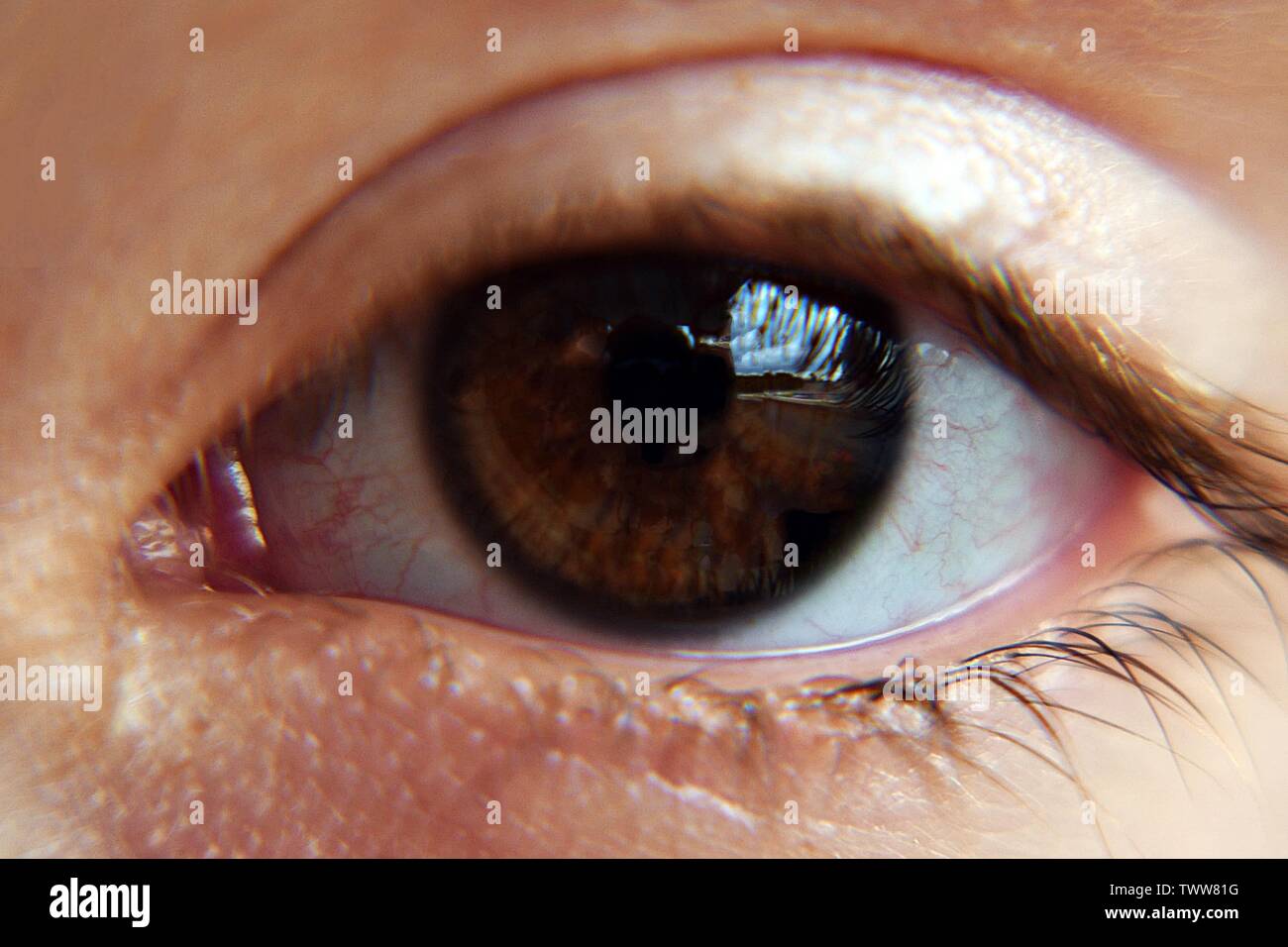 Human eye ball hi-res stock photography and images - Alamy