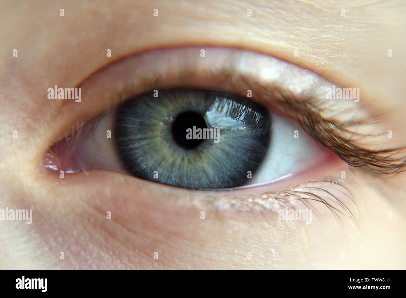 Human eye ball hi-res stock photography and images - Alamy