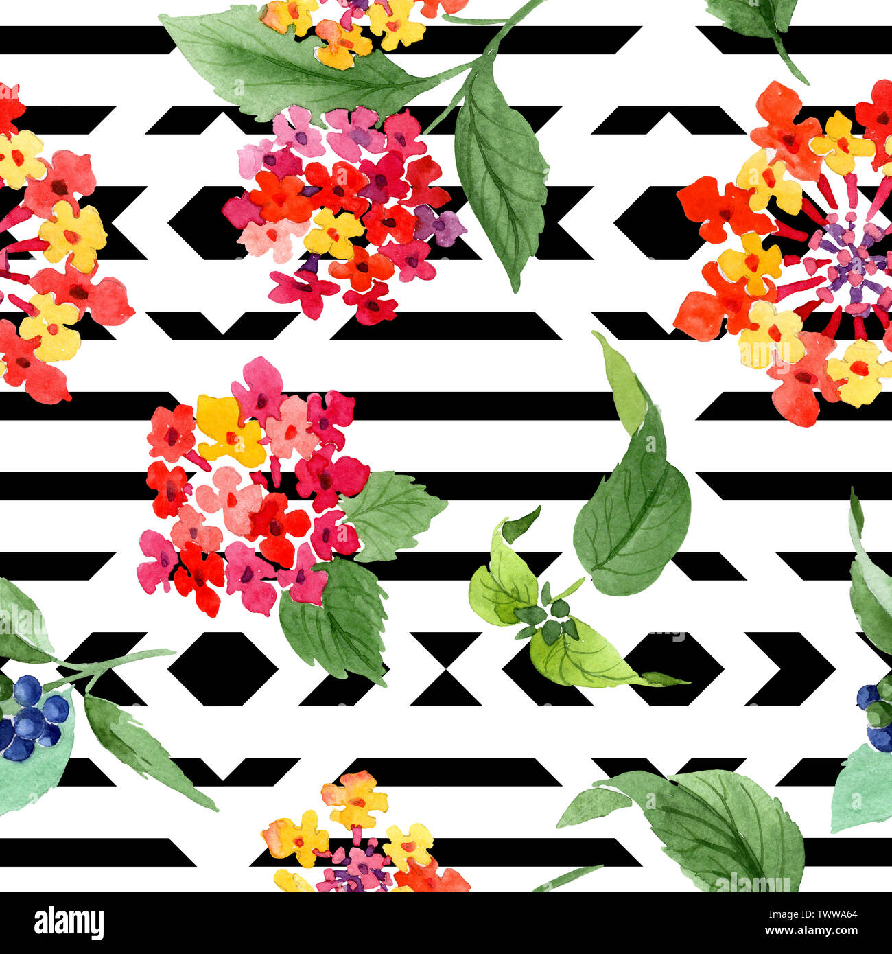 Red lantana floral botanical flowers. Wild spring leaf wildflower ...