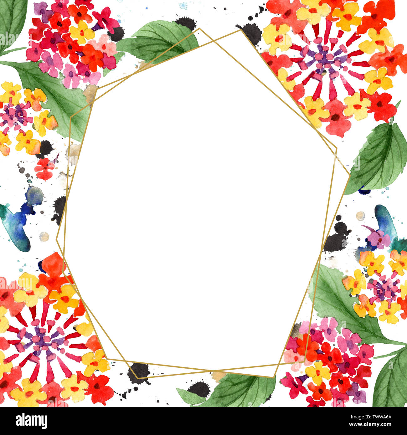 Red lantana floral botanical flowers. Wild spring leaf wildflower ...