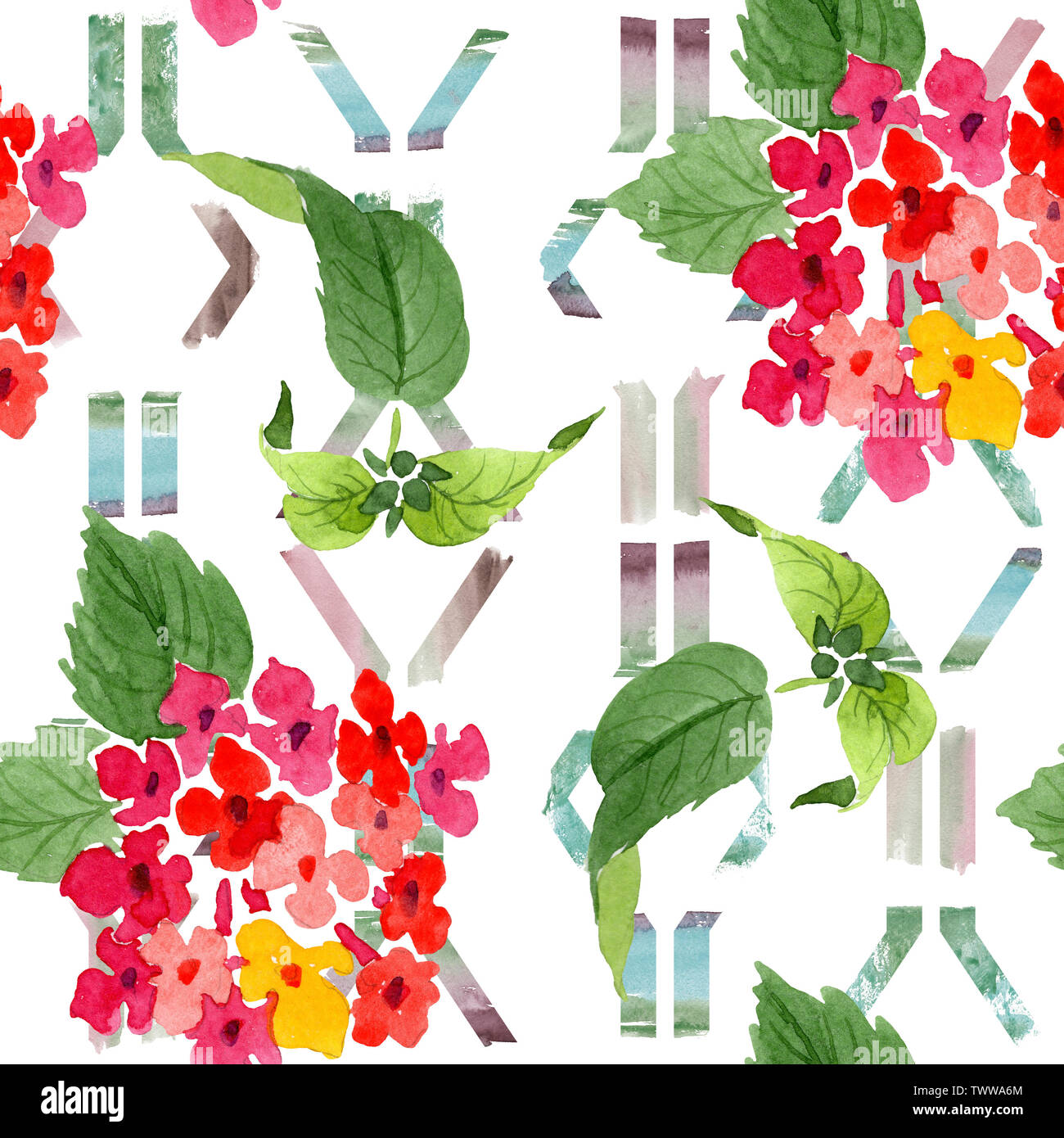 Red lantana floral botanical flowers. Wild spring leaf wildflower ...