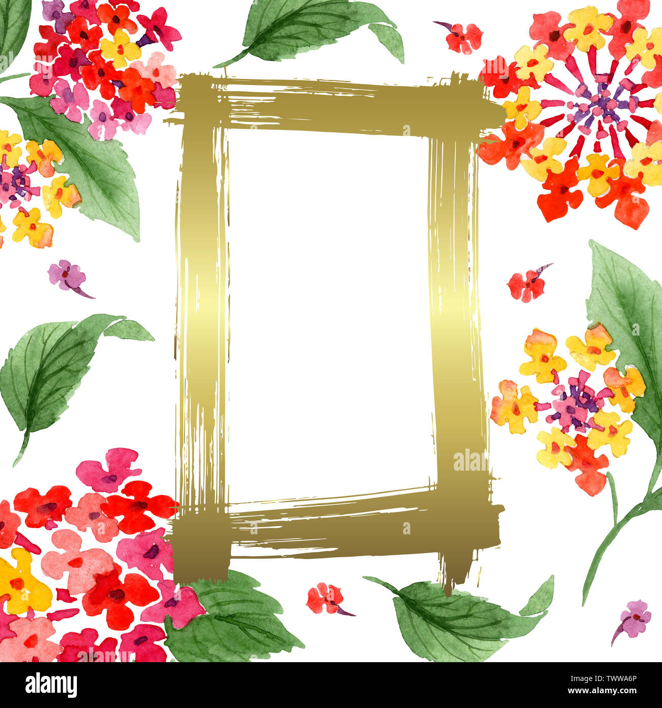 Red lantana floral botanical flowers. Wild spring leaf wildflower ...